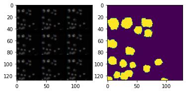 Python Getting Bad Images After Data Augmentation In Pytorch Stack Overflow