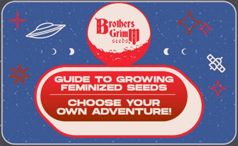 Feminized Cannabis Grow Guide Tips From Brothers Grimm