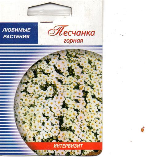Многолетники для альпийской горки Многолетники_белый_25_Песчанка горная ...