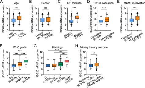 Associations Between Isg20 Mrna Expression And Different Clinical