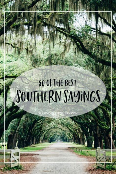 50 Of The Best Southern Sayings Artofit