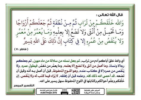 والله خلقكم من تراب ثم من نطفة