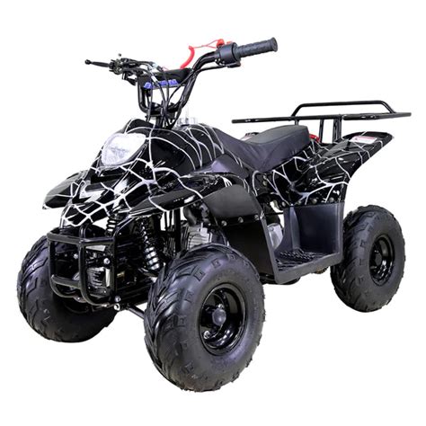 What Is The Fuel Efficiency Of Tao Tao 110 Powerrideoutlet