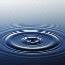 A Continuous Wavelet Transform Algorithm For Peak Detection 2008