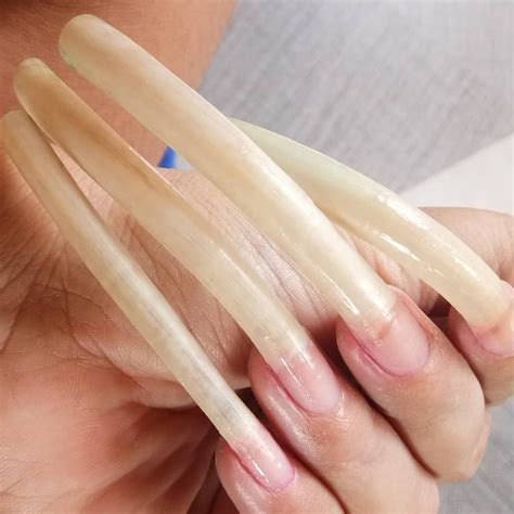 My Long Natural Nails Long Natural Nails Long Fingernails Long Nails
