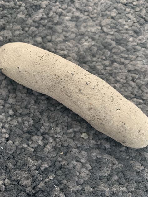 ID Please Fossil ID The Fossil Forum ID Please Fossil ID The Fossil Forum