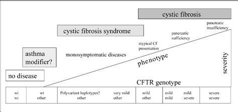 Figure 3 From Genotype And Phenotype In Cystic Fibrosis Semantic Scholar
