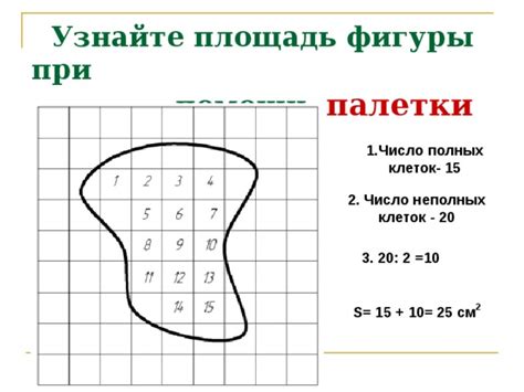 Что такое палетка по математике 4 класс как сделать: Урок математики на ...