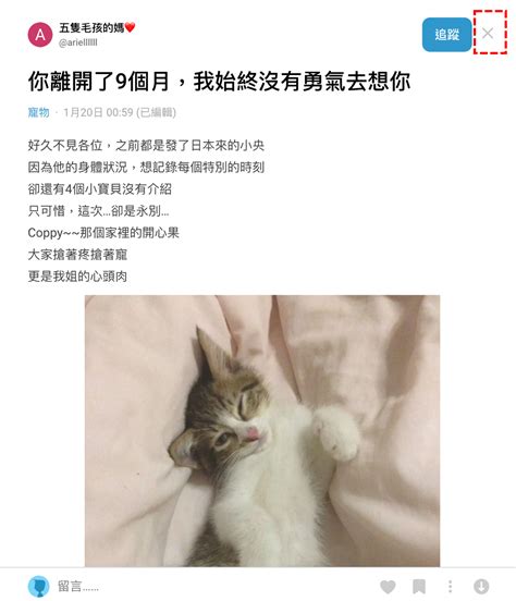 github andylee40 python selenium 使用selenium模擬瀏覽器進行網路爬蟲