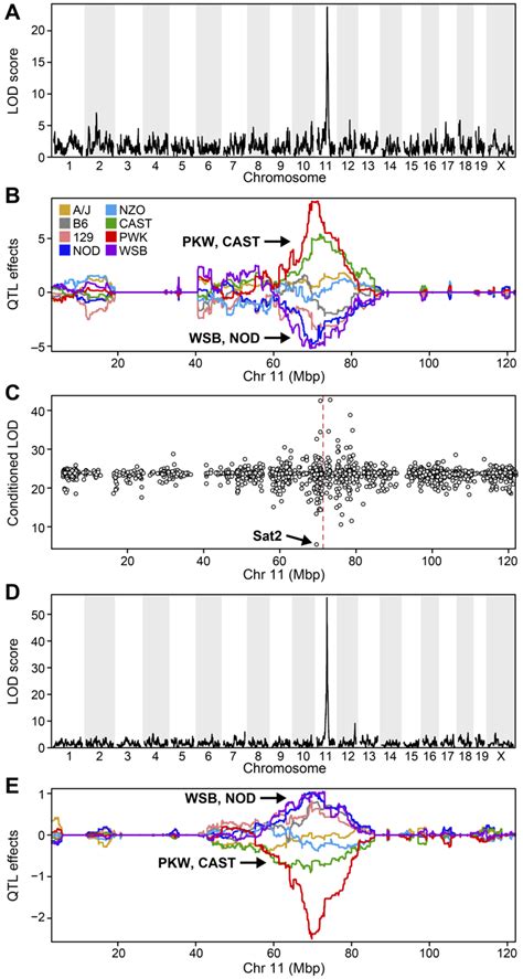 Expression Quantitative Trait Locus Eqtl Mapping Interpreting Qtl2