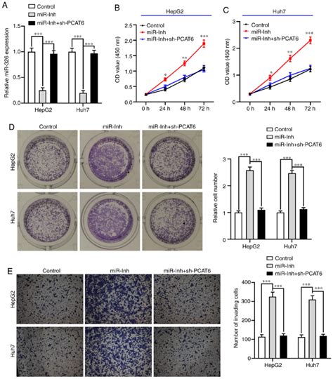 Inhibition Of Mir 326 Reverses The Inhibitory Effect Of Pcat6 Knockdown