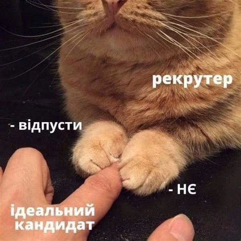 Kateryna Hr On Linkedin Itjobs Python Angular Fullstack