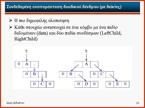 Class Binary Tree Node Public Binary Tree Node