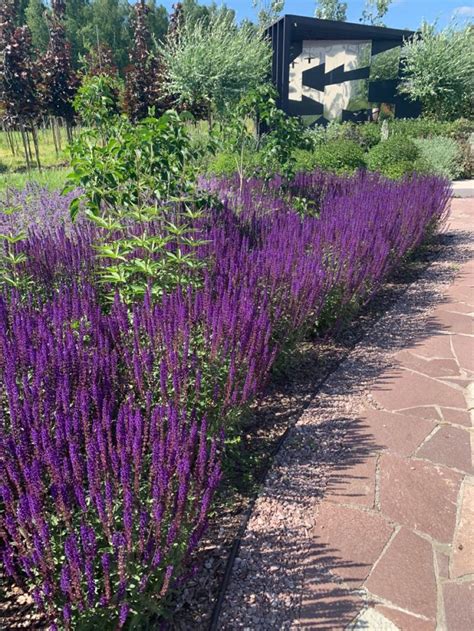 Когда уже будет так в 2024 г Идеи озеленения Озеленение Сад