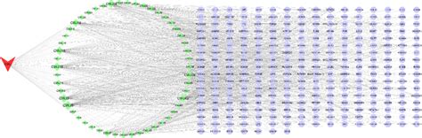 Ingredient Target Network Construction The Light Blue Circular Node