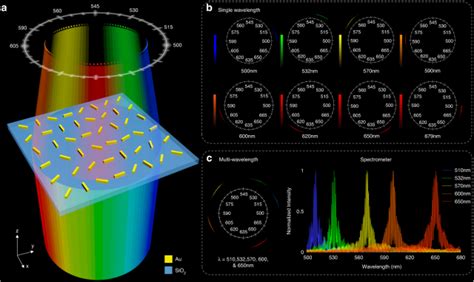 Why Multi Wavelength Red Light Devices Are Better Than 2 Wavelength