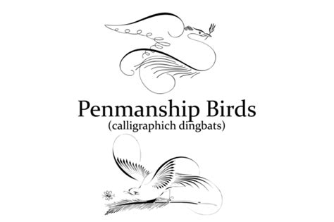 Penmanship Birds Font Font Canyon