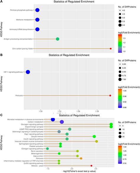 Frontiers Proteomics And Phosphoproteomics Reveal Novel Proteins