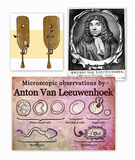 Anton Van Leeuwenhoek Discovery