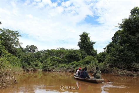 Travel Gallery 페루 아마존에서 온몸으로 느끼는 원시 자연의 경이로움 중앙일보