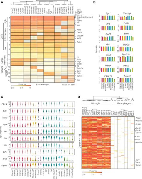 Figure From Cross Species Single Cell Analysis Reveals Divergence Of The Primate Microglia