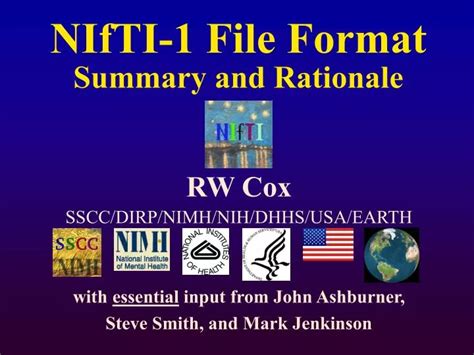 Ppt Nifti 1 File Format Summary And Rationale Powerpoint Presentation