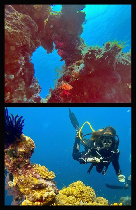 Have You Ever Considered The Power Of Leaving Things Alone In Some