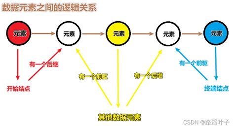 数据结构— 基本概念、逻辑和存储结构、数据类型与操作、算法特性与时间复杂度（上） 阿里云开发者社区