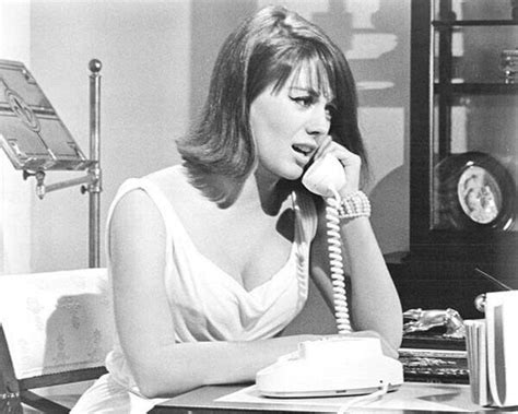 Natalie Wood Talking On Telephone 1965 Sex And The Single Girl 8x10