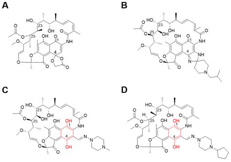 Rifamycin O An Alternative Anti Mycobacterium Abscessus Agent