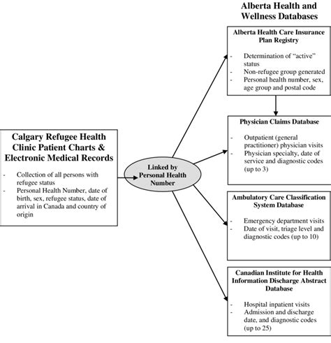 Data Sources Elements And Linkage Download Scientific Diagram