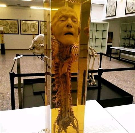 ЭСТЕТИКА НАШЕГО ТЕЛА🫀 Anatomo Art • Instagram Photos And Videos