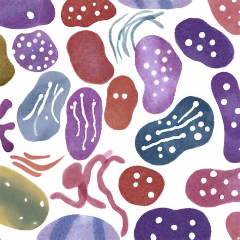 The Role Of Microorganisms In Biotechnology