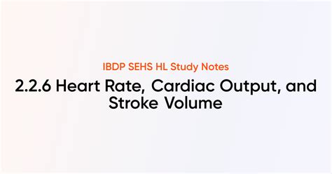 Heart Rate Cardiac Output And Stroke Volume 226 Ib Dp Sports