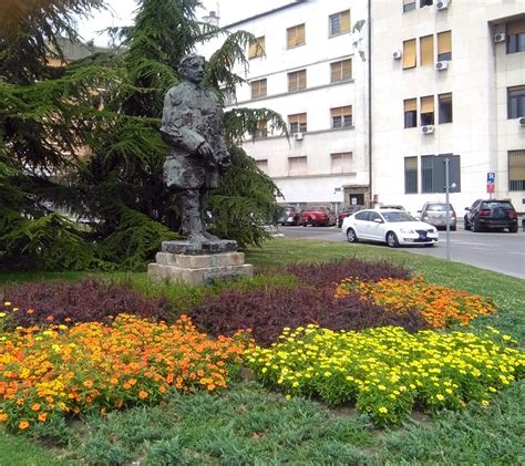 Spomenik Mihajlu Pupinu U Novom Sadu Beogradske Vesti