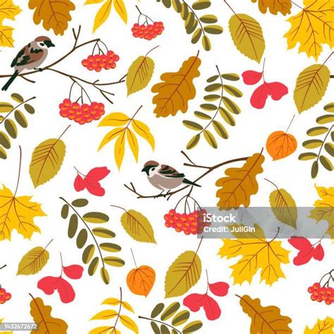 가을 분위기 매끄러운 패턴 떨어지는 잎 참새 산 재 플랫 스타일 벡터 일러스트 레이 션 나무에 대한 스톡 벡터 아트 및 기타 이미지 Istock