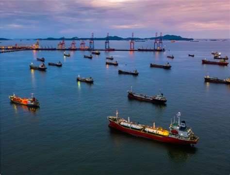 Training Webinars Gmn The Global Mtcc Network