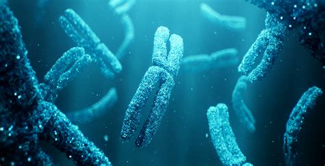 What Are Drug Moa Animations And Why Are They So Important