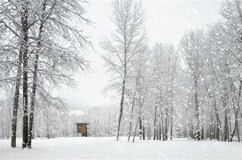Scratch克隆之下雪中级版 少儿编程