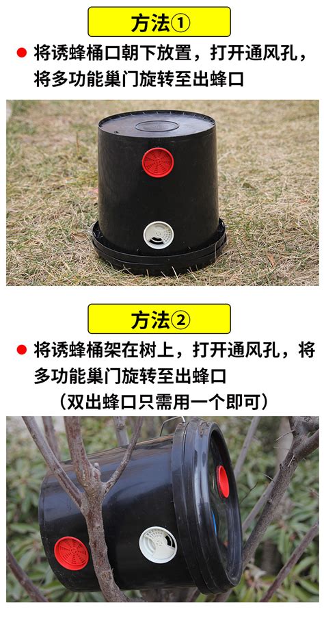 捕蜂神器 简易 捕捉 大山谷图库