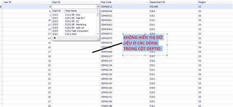 sử dụng gridlookupedit trong gridcontrol không hiện thị được dữ liệu