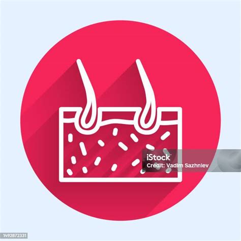 흰 선 긴 그림자로 격리된 피부 아이콘을 덮고 있는 머리카락 모낭 빨간색 원 버튼입니다 벡터 건강 진단에 대한 스톡 벡터 아트