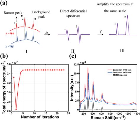A Theoretical Diagram Of Sedrs Processes For The Extraction Of Raman Download Scientific