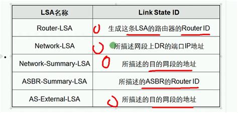 OSPF 基础知识 学习笔记 不知名de菜鸟 博客园