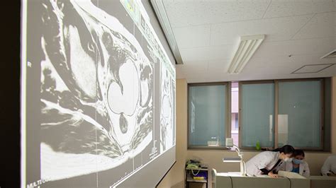 婦人科腫瘍 新潟大学医学部産科婦人科学教室
