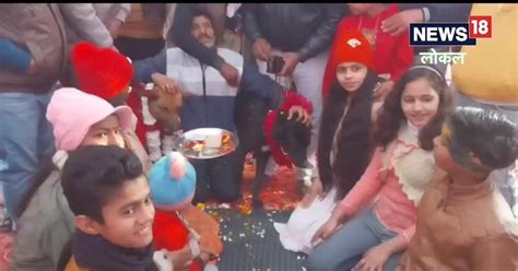 Ajab Gajab टॉमी और जैली की अनोखी शादी ढोल नगाड़े की धुन पर जमकर नाचे