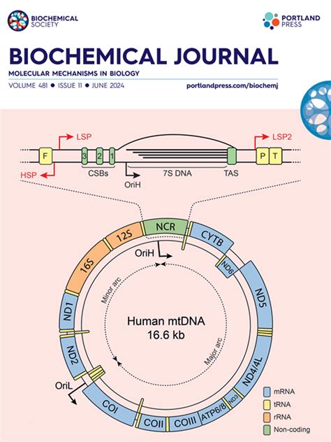 Volume 481 Issue 11 Biochemical Journal Portland Press