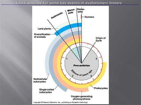 History Of Life On Earth Ppt Download