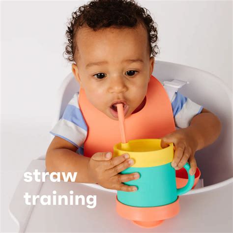 Essential Sippy Cup Picos Worldwide