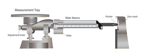 Lab Procedure Guided Notes Teacher Edition